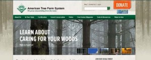 Handy Sites for Conscientious Wood Use - ForestryDegree.net